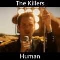 The Killers - Human - Acordes D Canciones